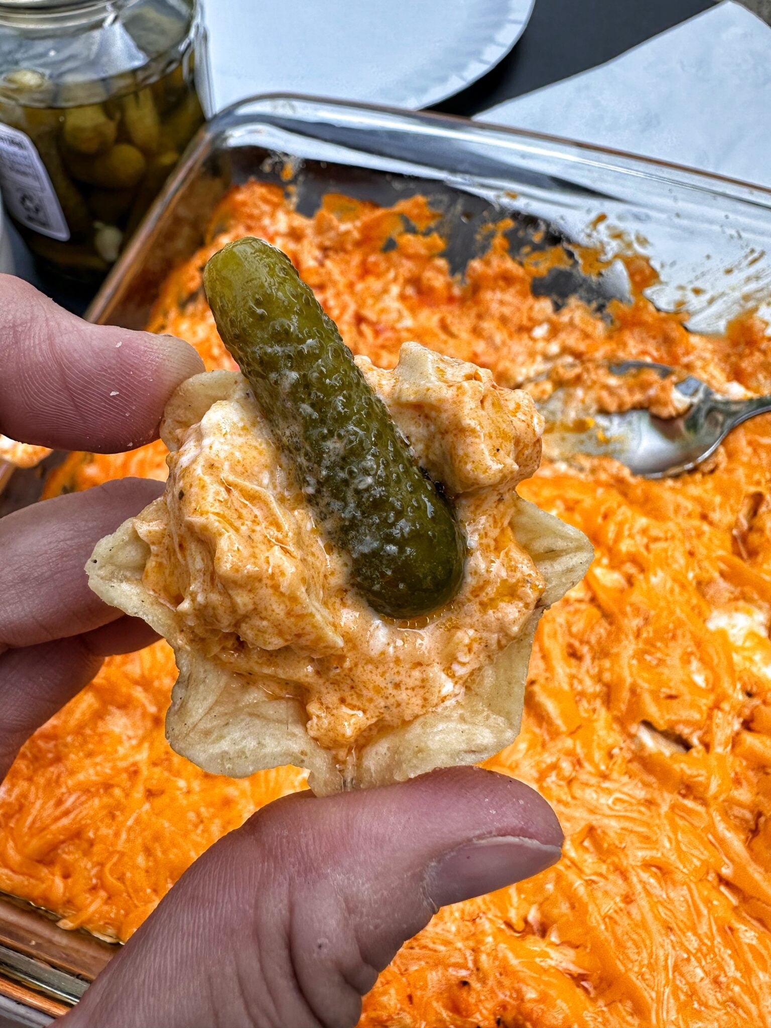 Pickley Buffalo Chicken Dip - The Tipsy Housewife