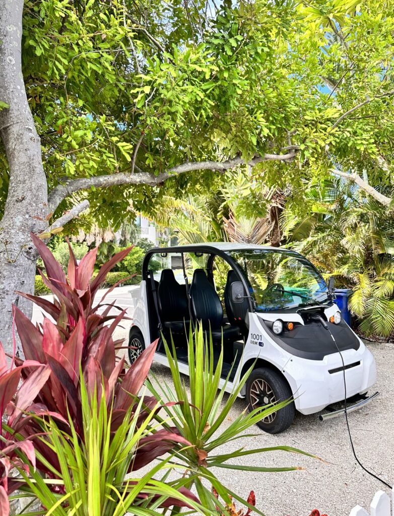 Everything You Need To Know About Anna Maria Island - The Tipsy Housewife